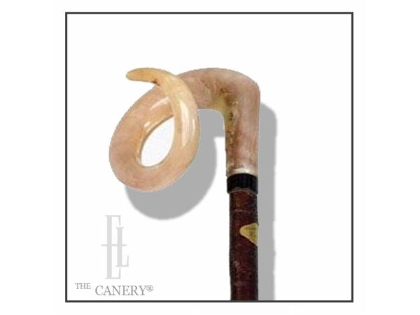Curly Ram's Horn Blackthorn Walking Staff – ELDERLUXE