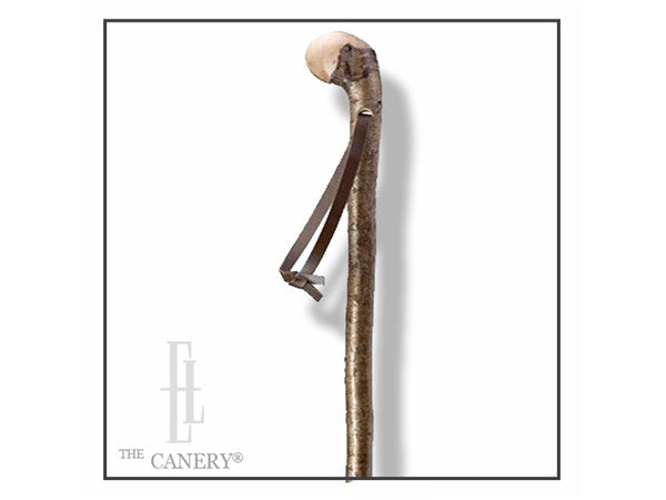 Genuine English Hazel Wood Walking Stick – ELDERLUXE